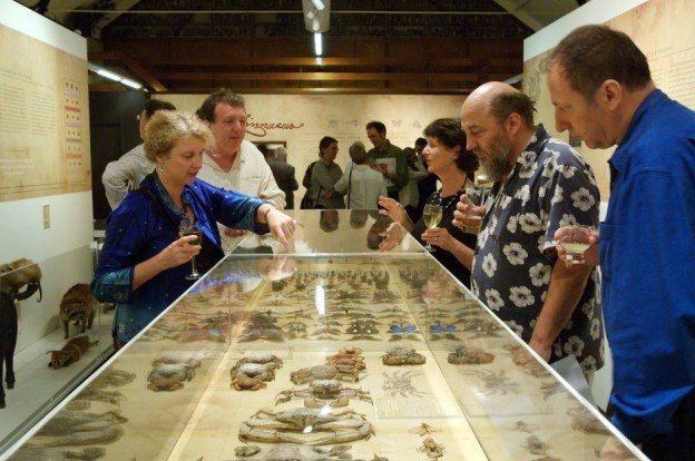 Linnaeus at the Macleay Museum - introduction