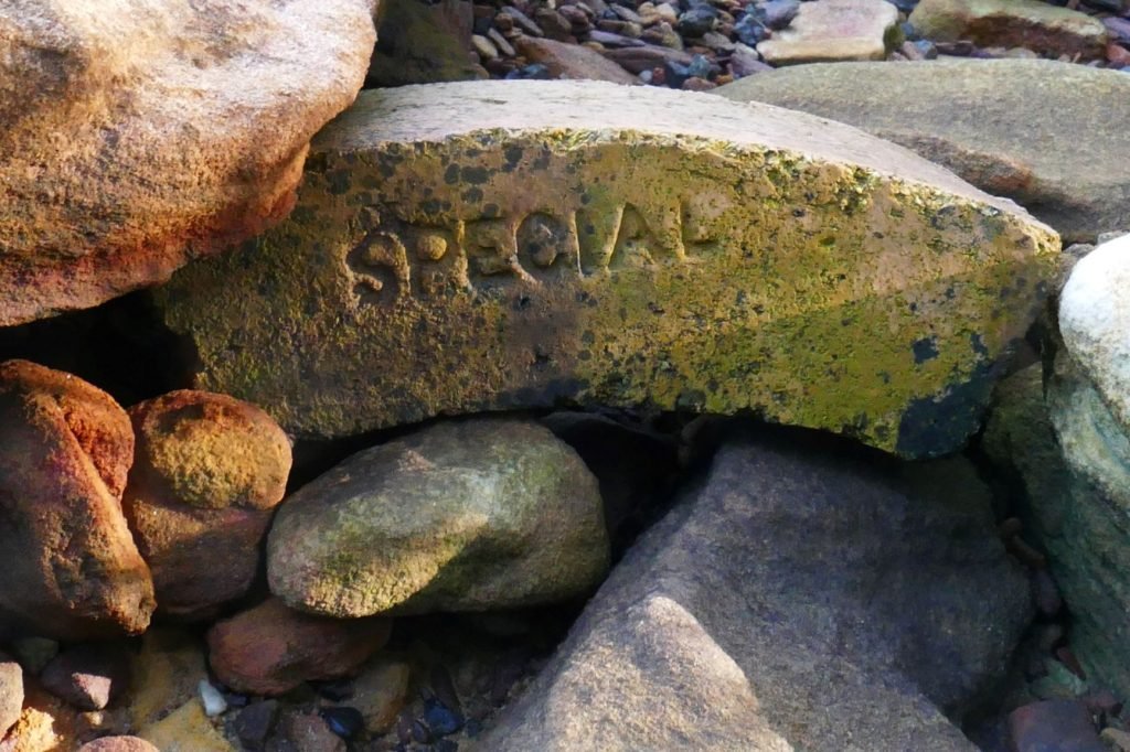 Curlew Camp, a new project on natural aesthetics